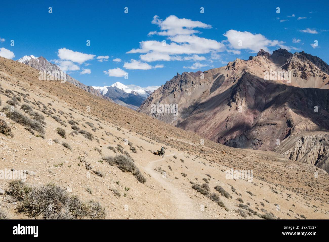 Trekking to Shimshal Pass, Shimshal, Gojal, Pakistan Stock Photo - Alamy