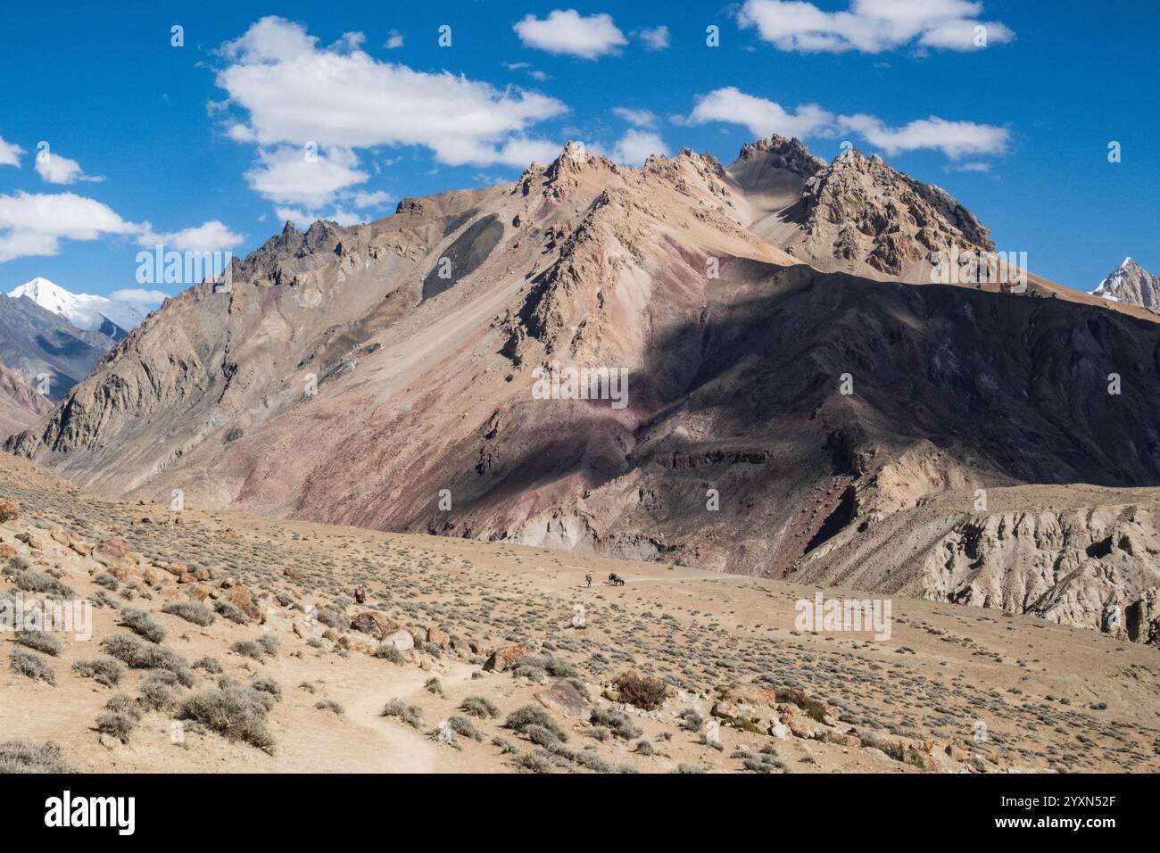 Trekking to Shimshal Pass, Shimshal, Gojal, Pakistan Stock Photo - Alamy