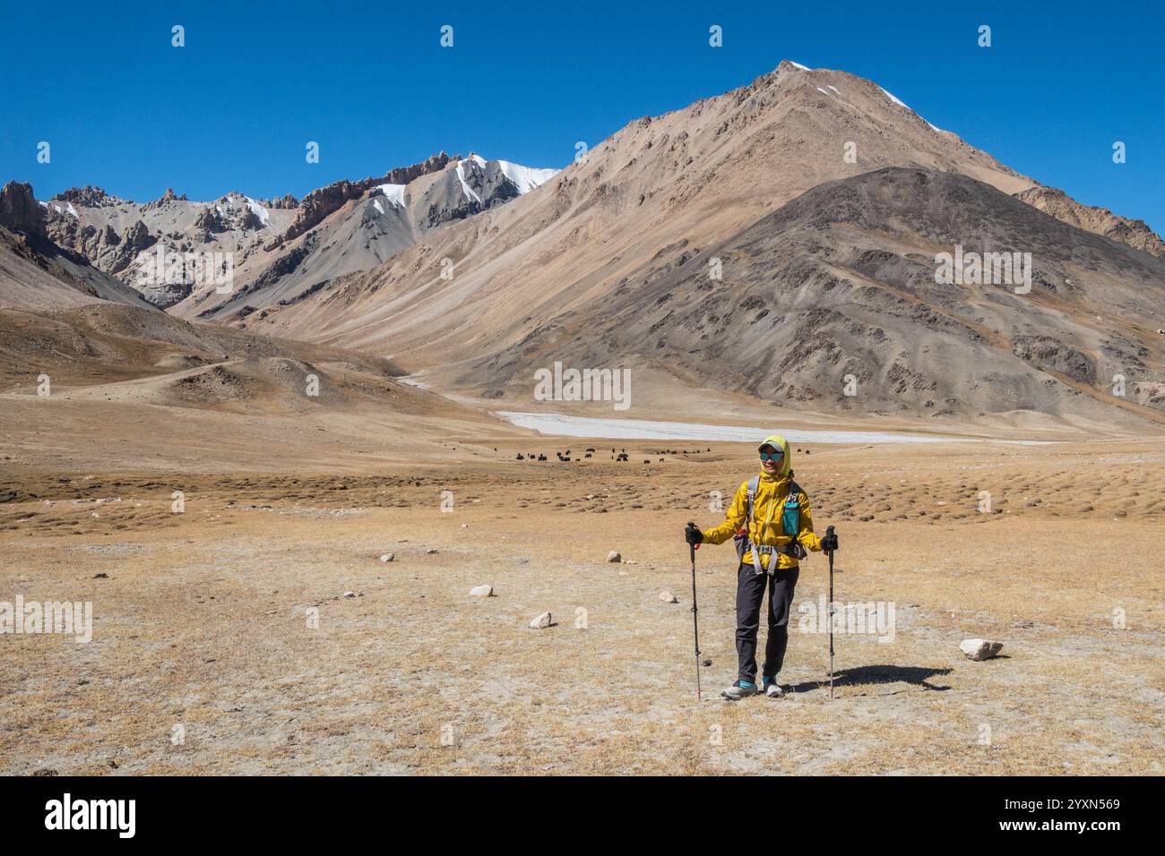 Trekking to Shimshal Pass, Shimshal, Gojal, Pakistan Stock Photo - Alamy