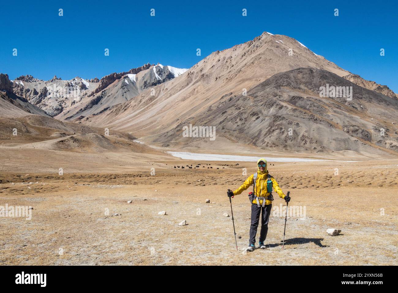 Trekking to Shimshal Pass, Shimshal, Gojal, Pakistan Stock Photo - Alamy