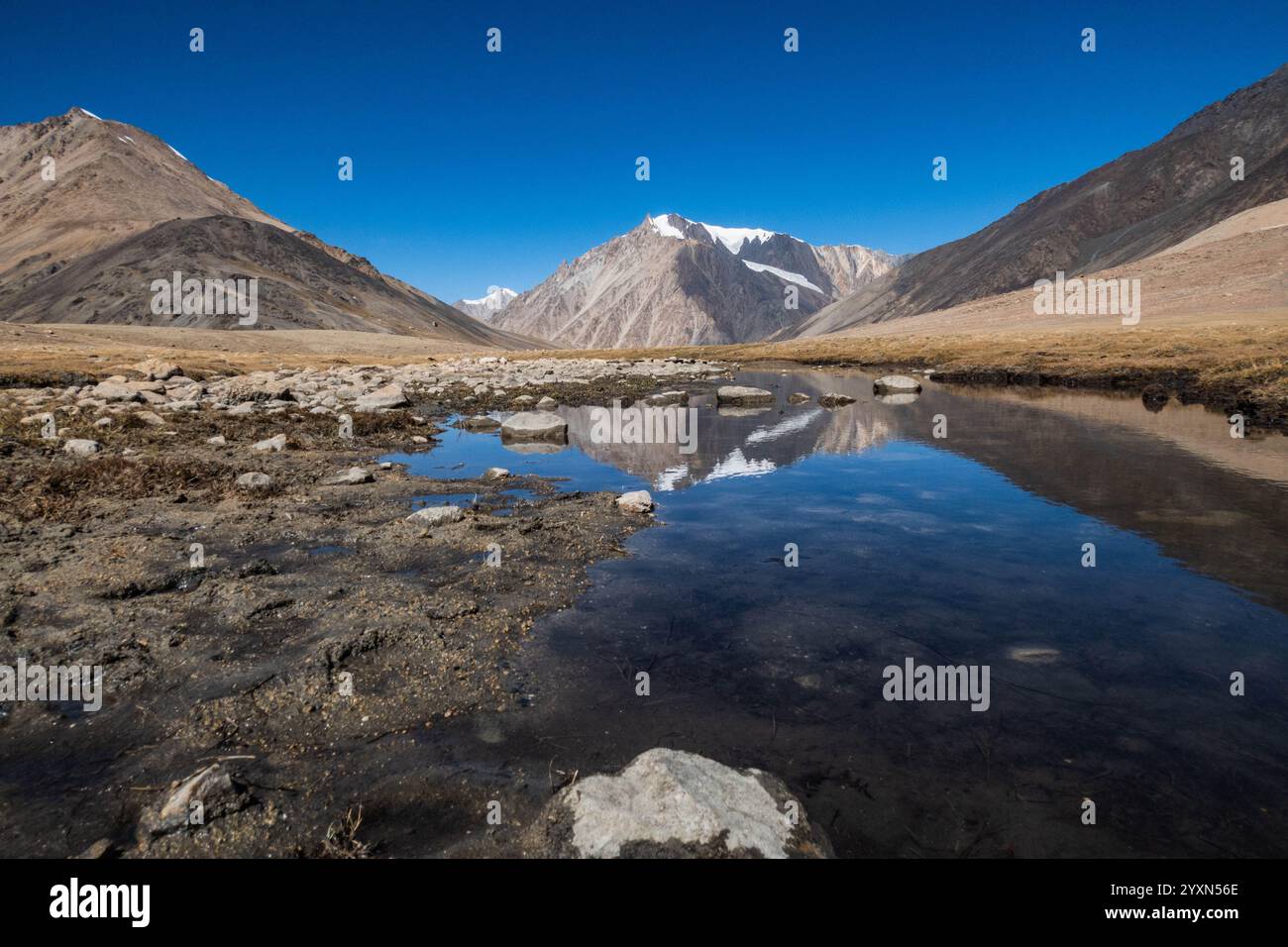Stunning scenery in the high meadows of Shimshal Pass, Shimshal, Gojal ...