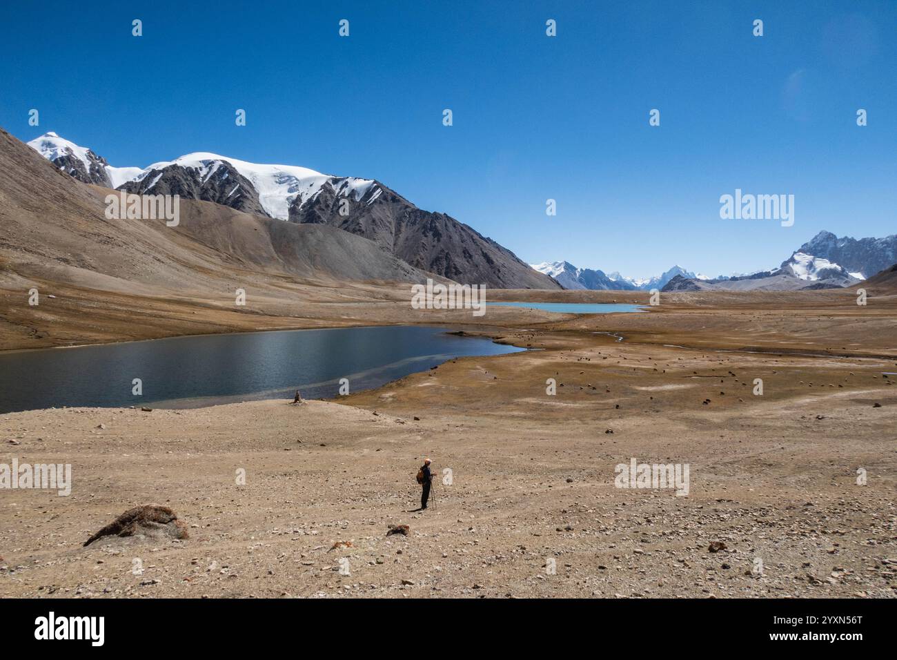 Stunning scenery in the high meadows of Shimshal Pass, Shimshal, Gojal ...
