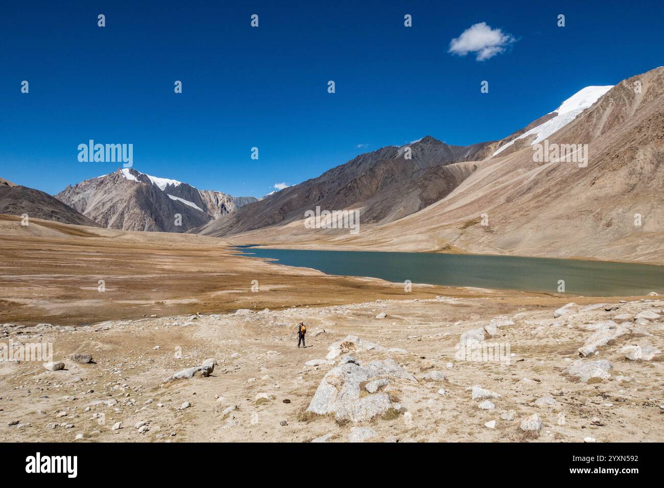 Stunning scenery in the high meadows of Shimshal Pass, Shimshal, Gojal ...