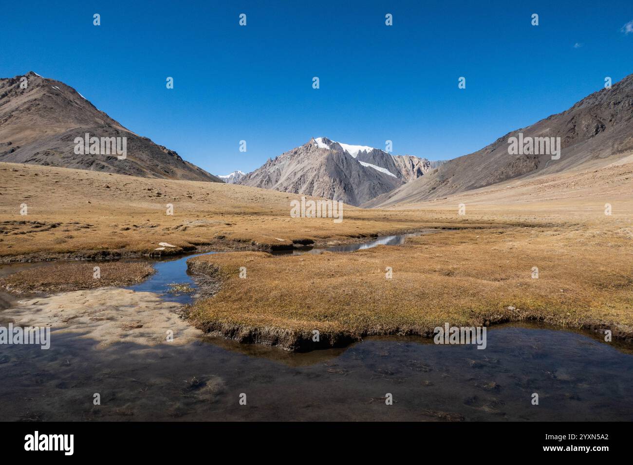 Stunning scenery in the high meadows of Shimshal Pass, Shimshal, Gojal ...