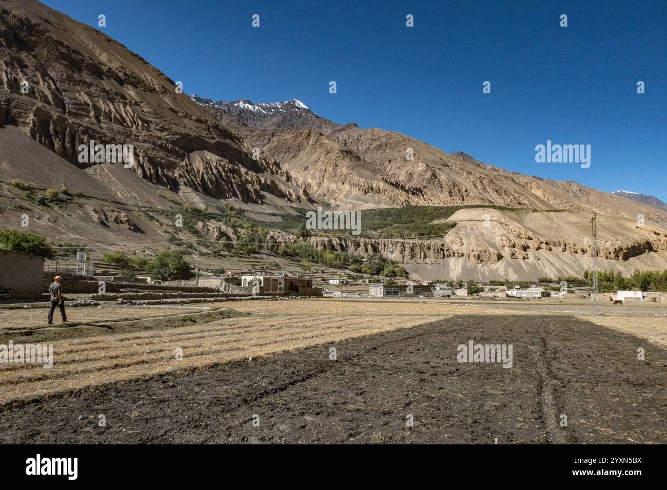Traditional homes and wheat fields in the remote Shimshal Valley ...
