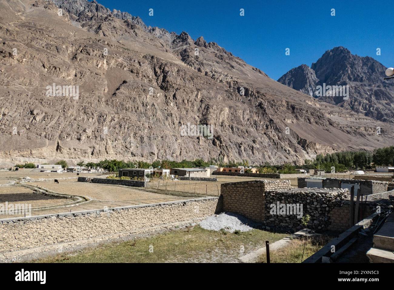Traditional homes and wheat fields in the remote Shimshal Valley ...