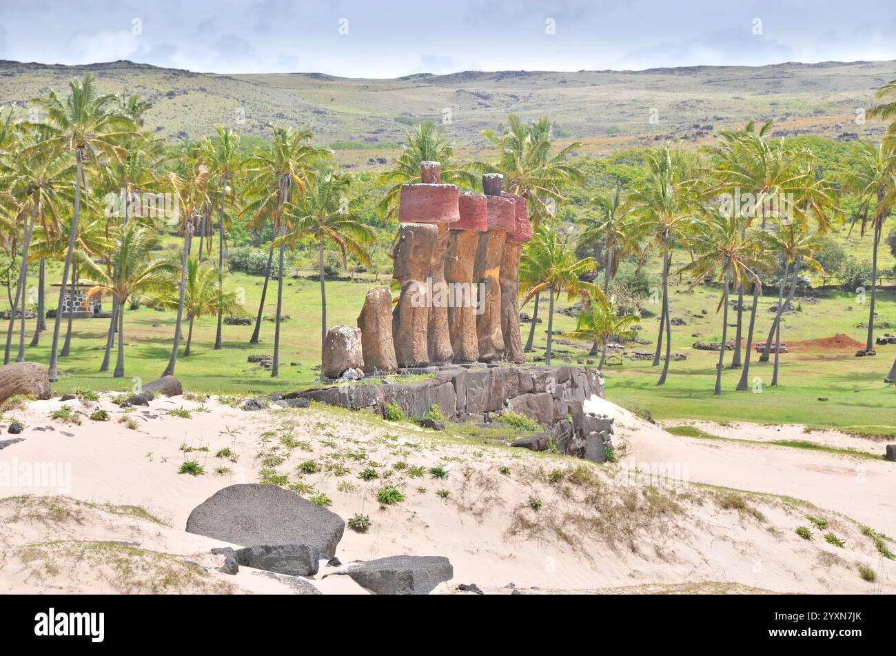 Anakena coral sand beach in Rapa Nui National Park (Easter Island) with ...