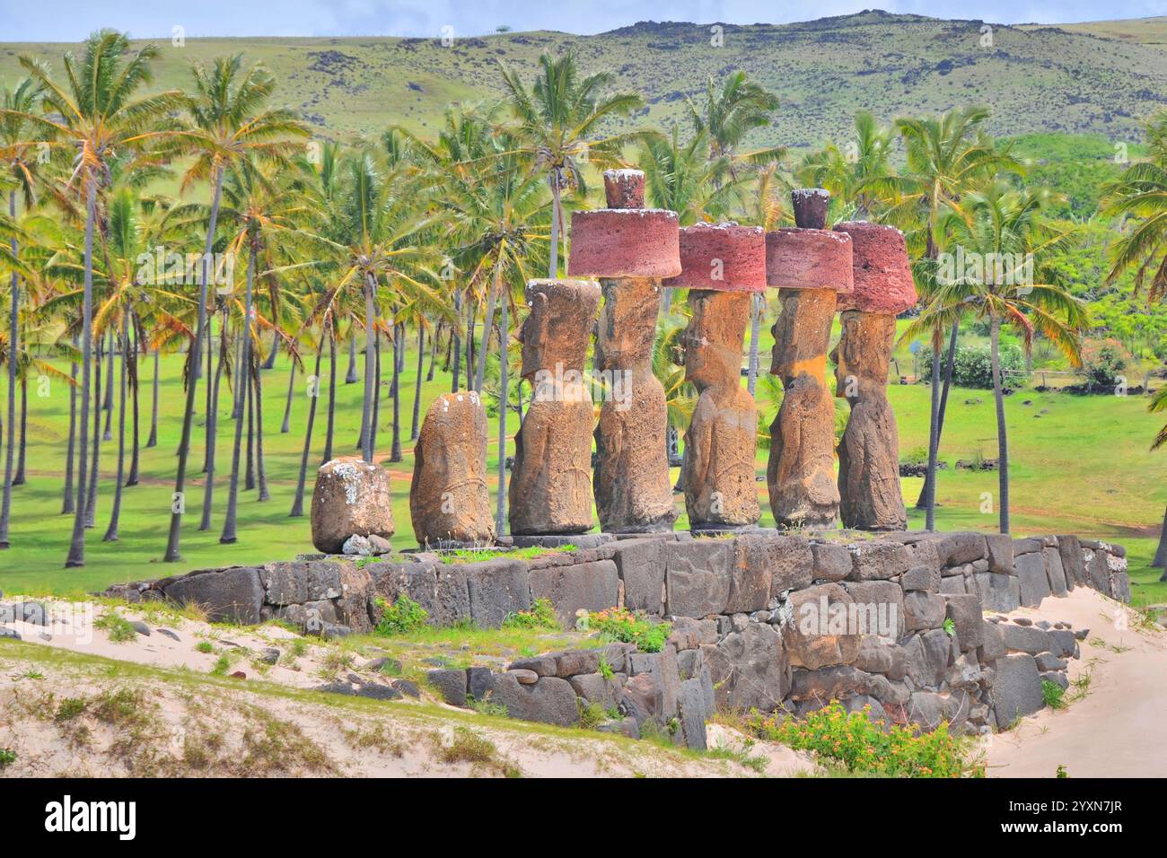 Anakena coral sand beach in Rapa Nui National Park (Easter Island) with ...