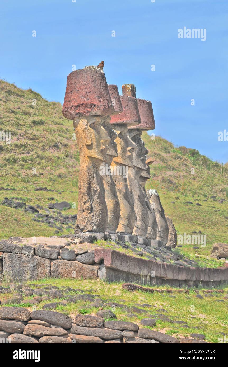 Anakena coral sand beach in Rapa Nui National Park (Easter Island) with ...