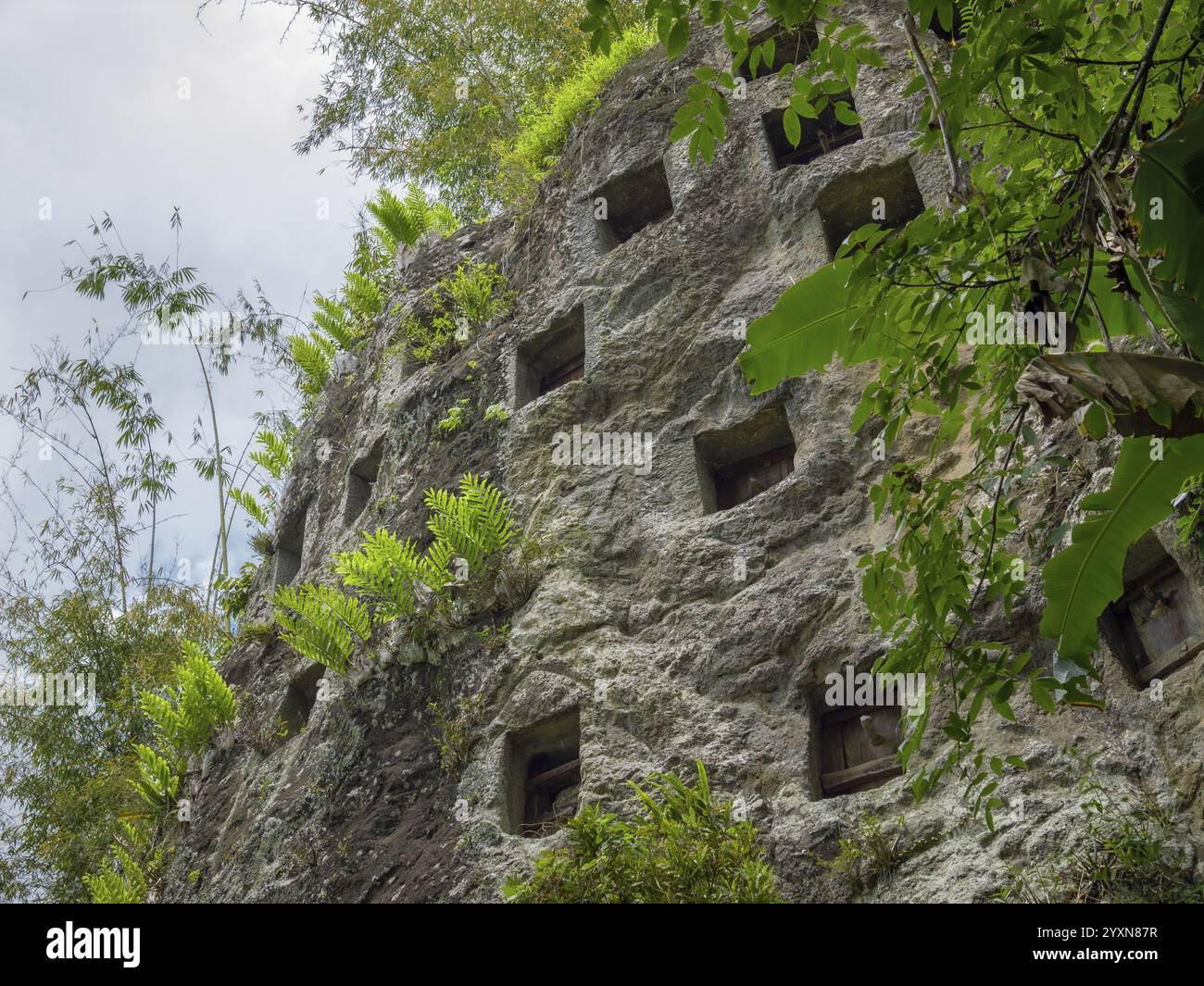Ancient tombs, rock tombs, Lemo, Tana Toraja, Sulawesi, Indonesia, Asia ...