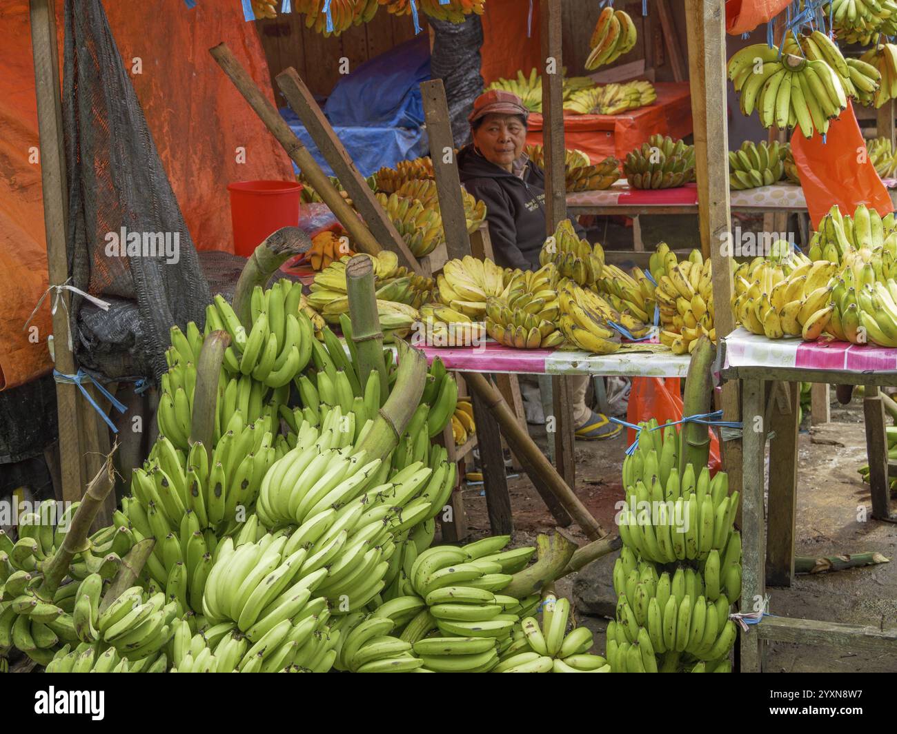 Banana sale, market stall, Tomohon, Sulawesi Stock Photo - Alamy