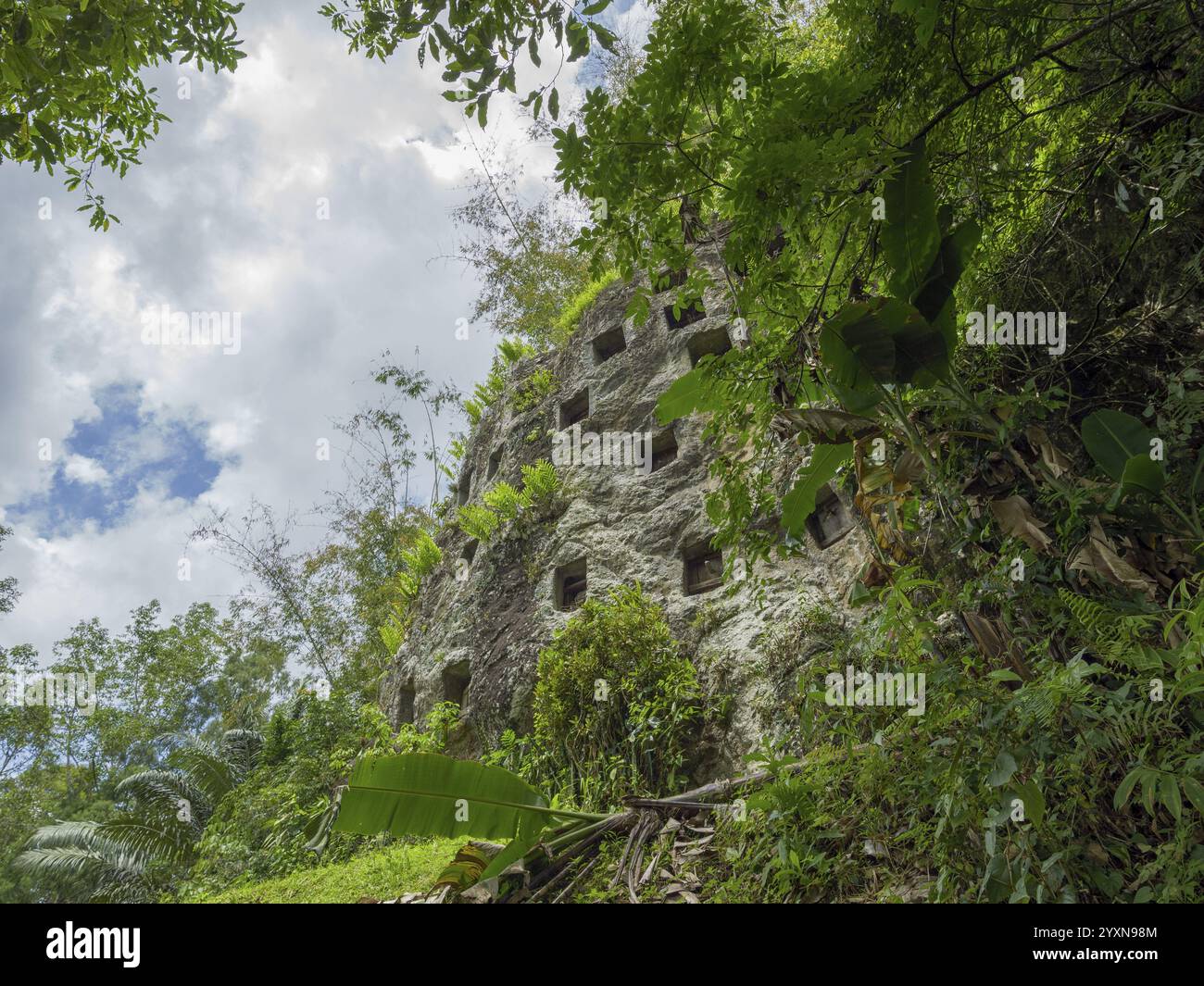 Ancient tombs, rock tombs, Lemo, Tana Toraja, Sulawesi, Indonesia, Asia ...