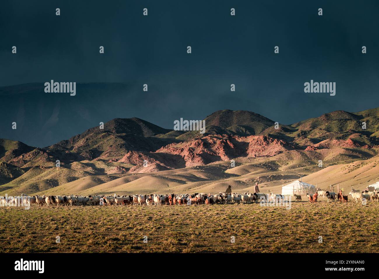 Nomads before big storm, rain, Gobi-Altai province, Mongolia, Asia ...