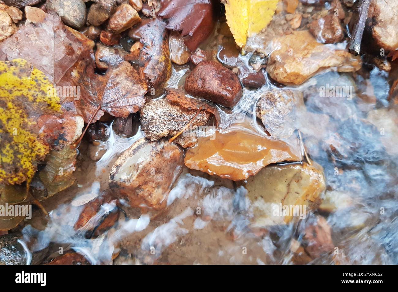 Ancient stone age chisel hi-res stock photography and images - Alamy
