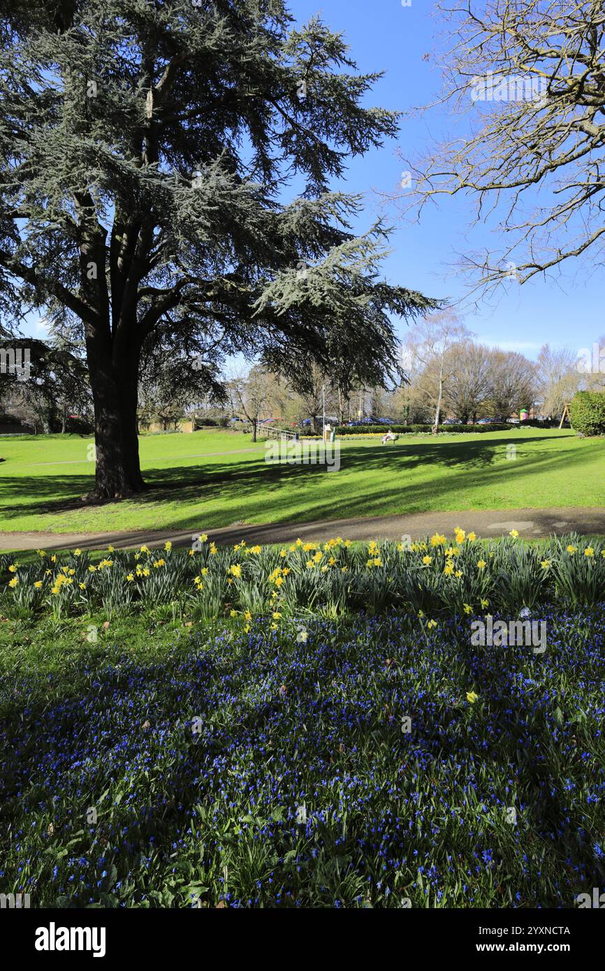 Spring view over Croyland Park, Wellingborough town, Northamptonshire ...