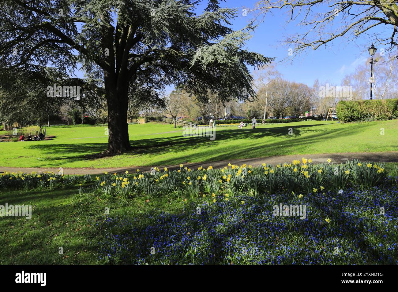 Spring view over Croyland Park, Wellingborough town, Northamptonshire ...