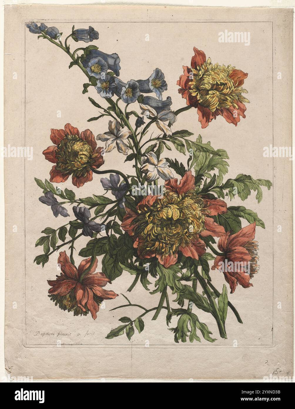 Antique Vintage Color Drawing of Botanical From 18-19th Century Stock ...