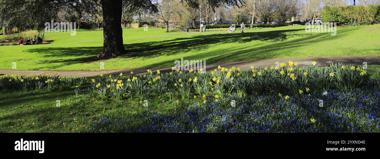 Spring view over Croyland Park, Wellingborough town, Northamptonshire ...