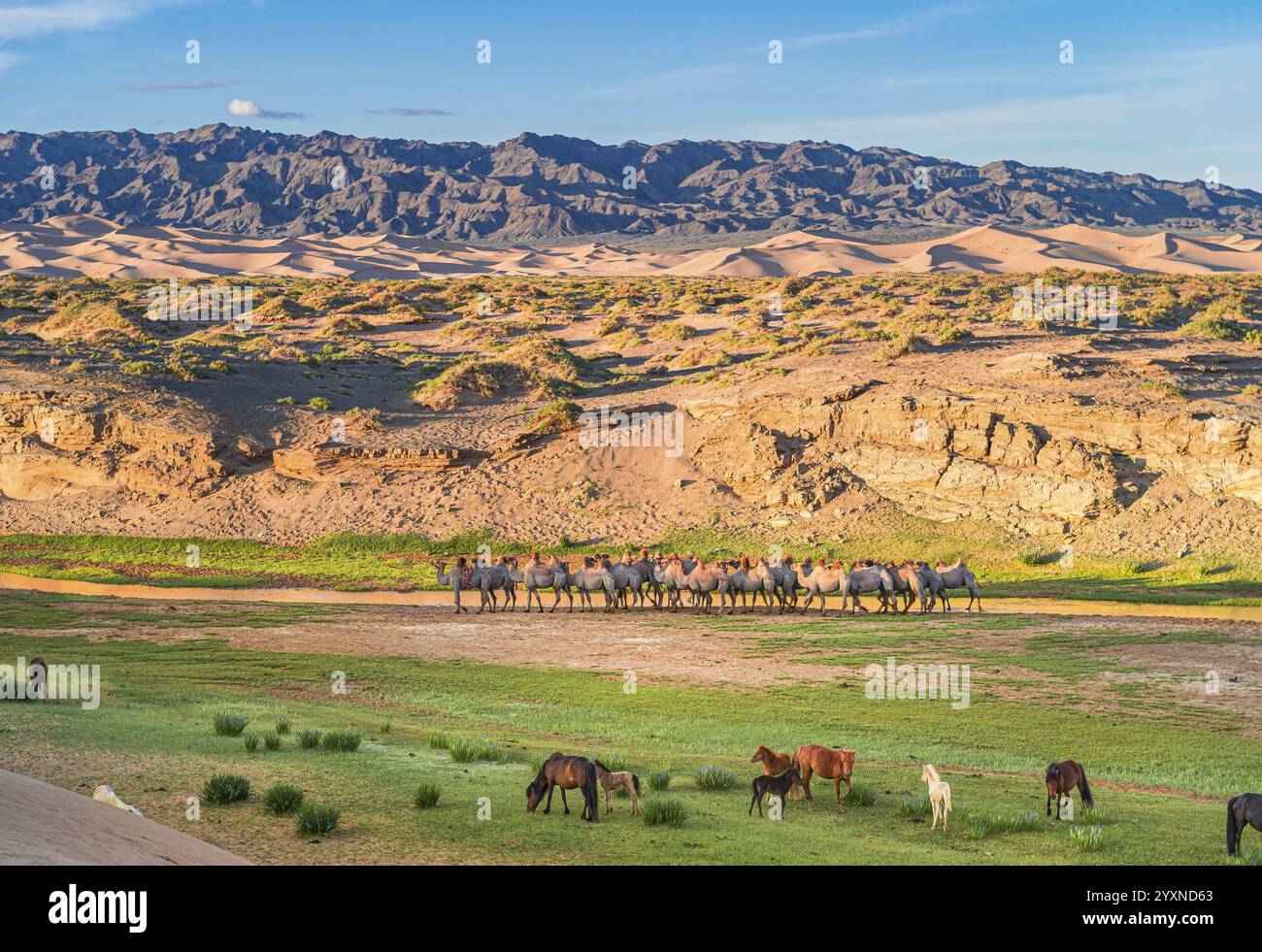Eastern gobi desert hi-res stock photography and images - Alamy