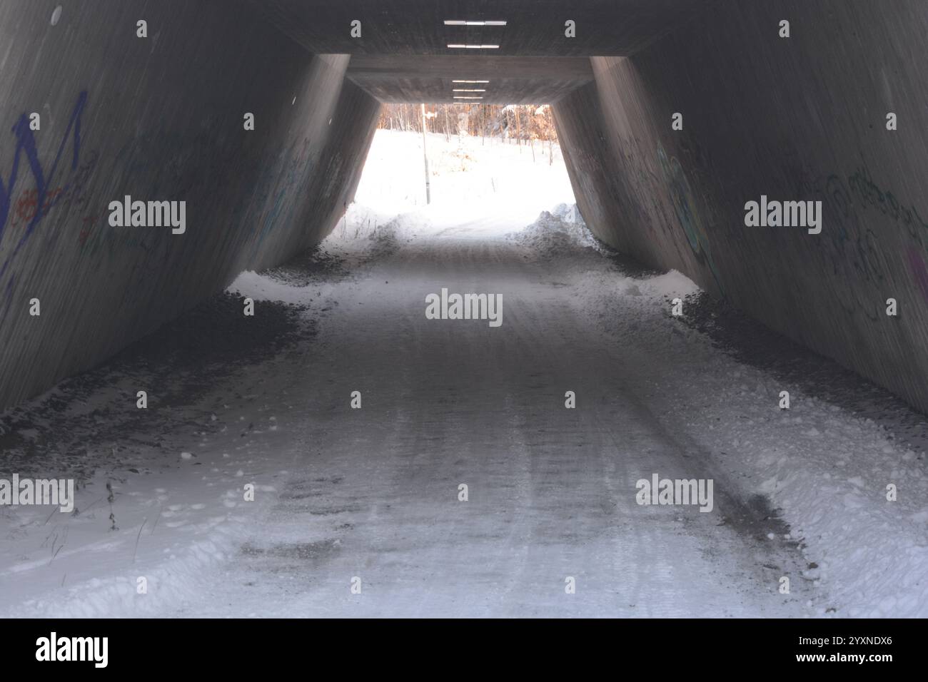 Cement basement, iron-concrete bridge, descent, viaduct, construction ...