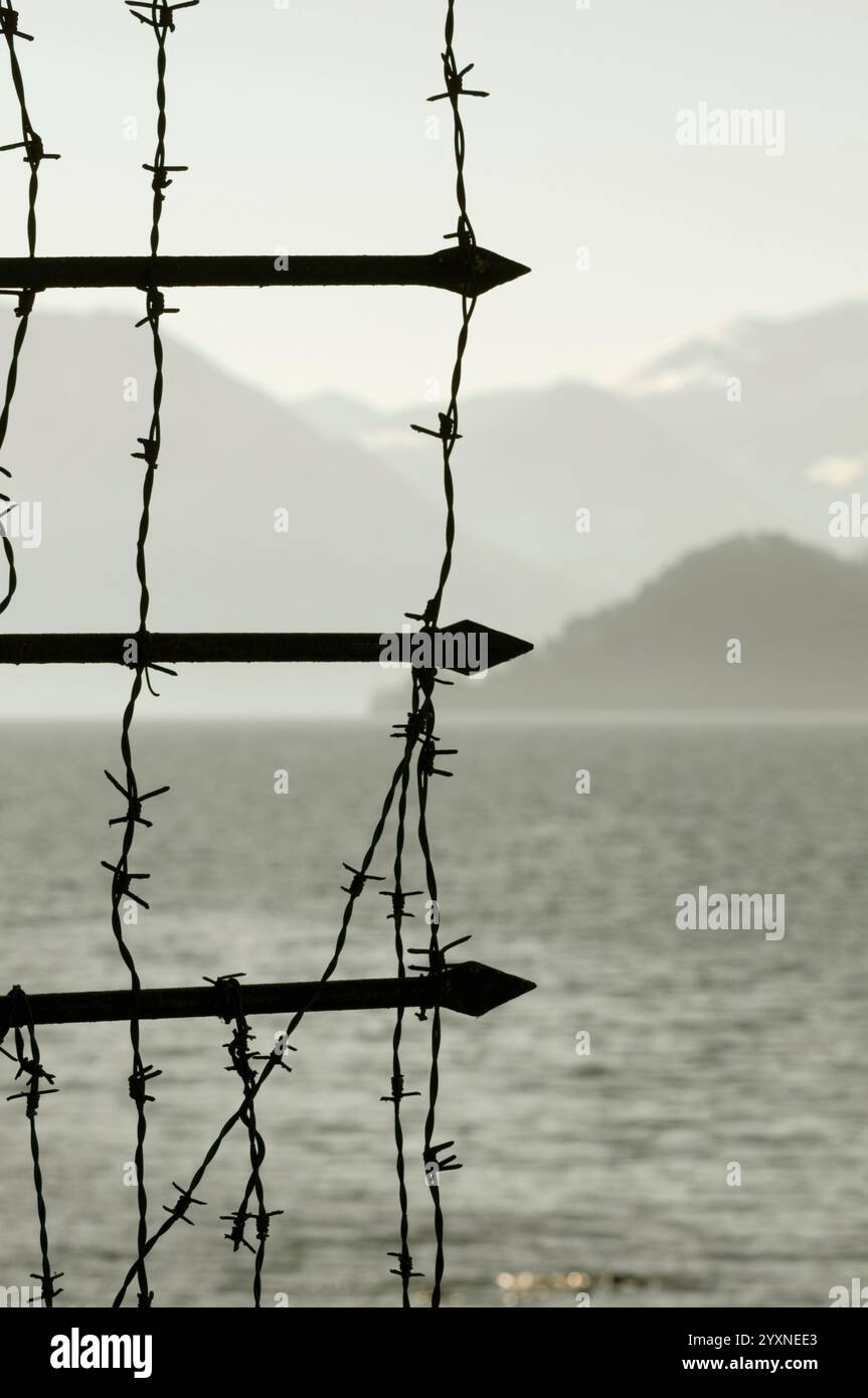 Barbed wire and sharp metal spikes silhouette in misty landscape, Lake ...