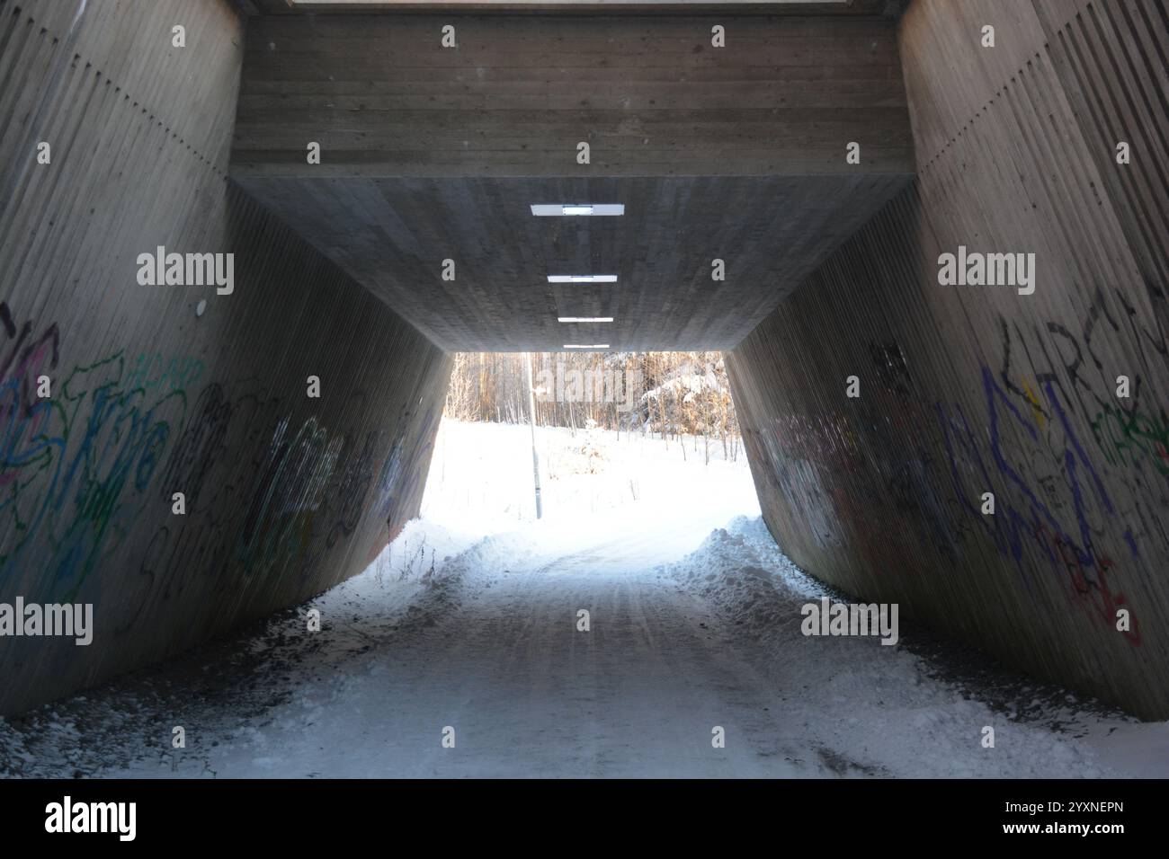 Cement basement, iron-concrete bridge, descent, viaduct, construction ...