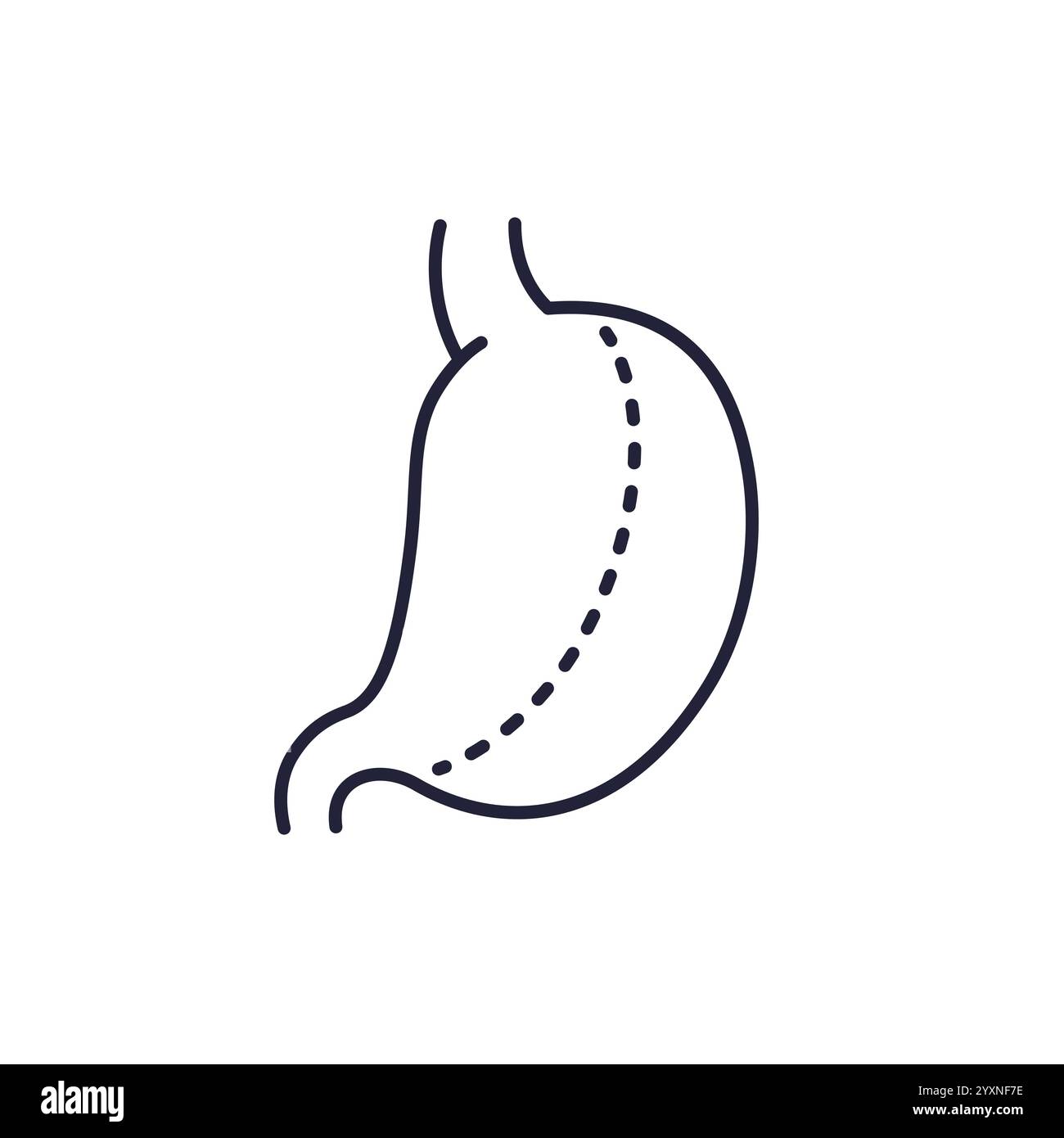 gastric sleeve, gastrectomy line icon Stock Vector Image & Art - Alamy