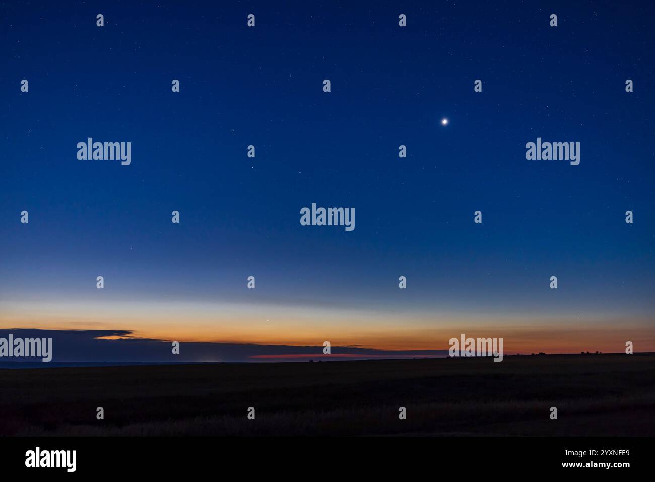 Mu leonis hi-res stock photography and images - Alamy