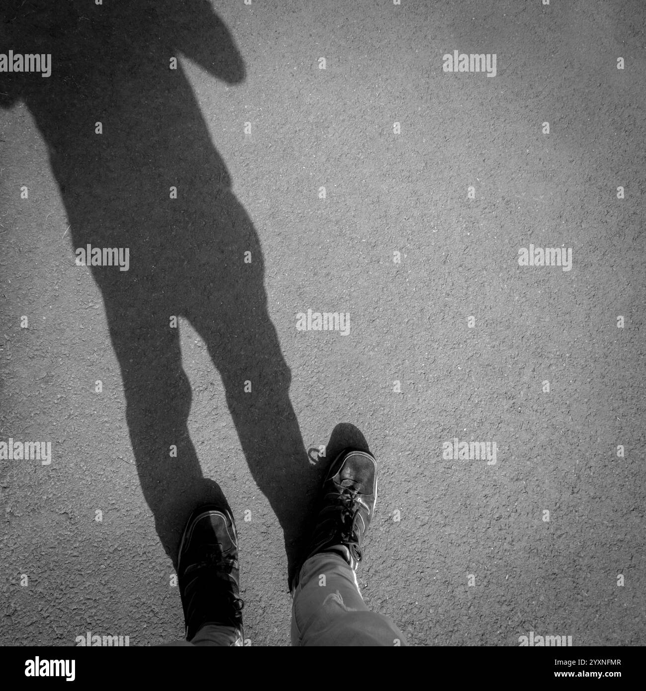 Human pathway Black and White Stock Photos & Images - Alamy