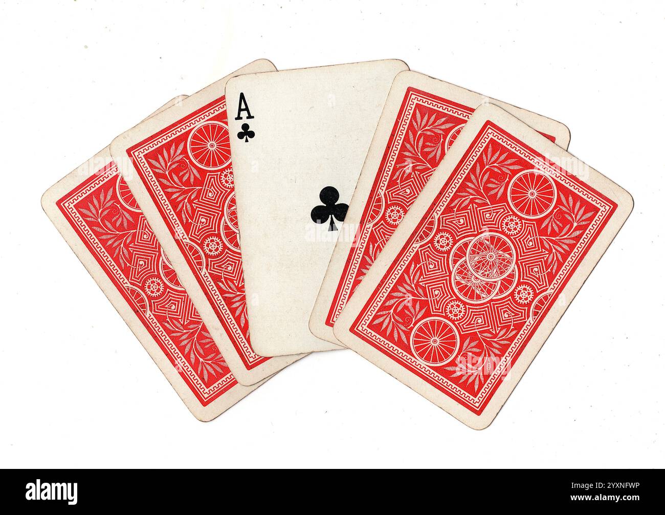 A hand of vintage playing card backs with the ace of clubs revealed on ...