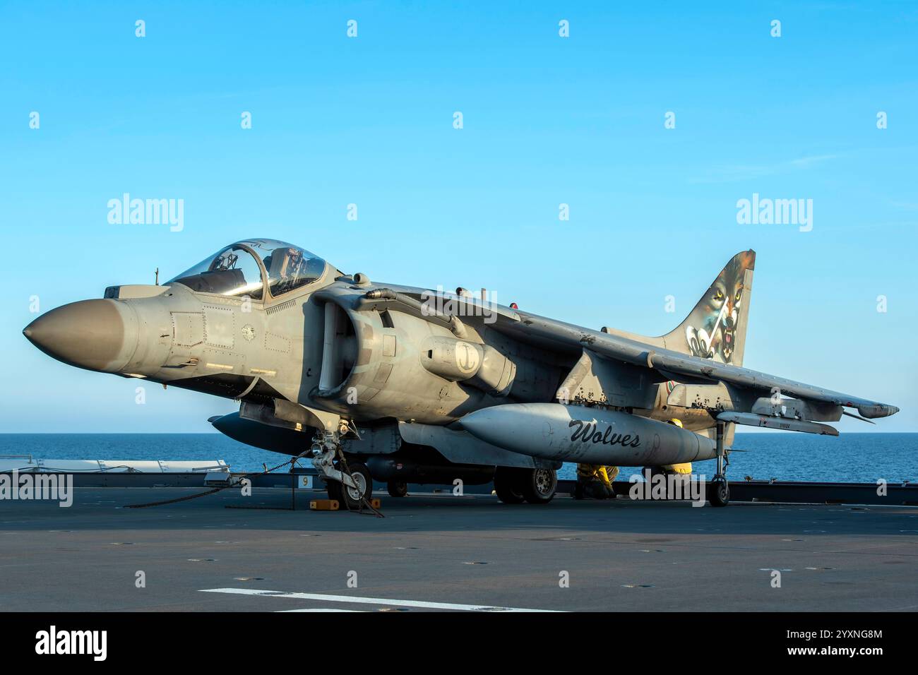 Italian Navy AV-8B+ Harrier II Plus on the flight deck of the ITS Cavour aircraft carrier Stock ...
