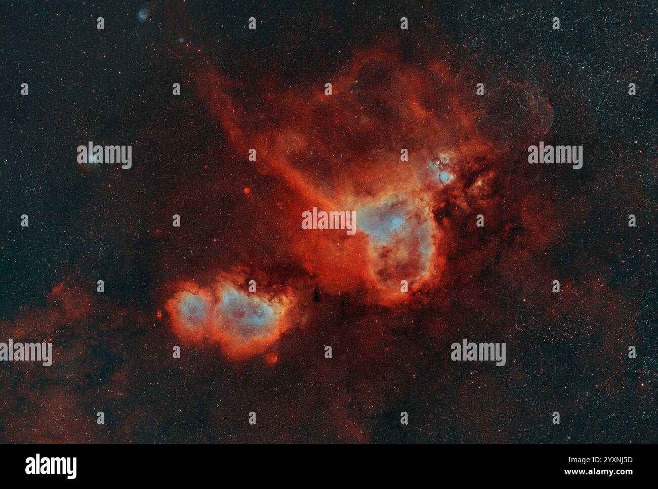 Heart and Soul Nebulae in constellation Cassiopeia (IC 1805, IC 1848 ...