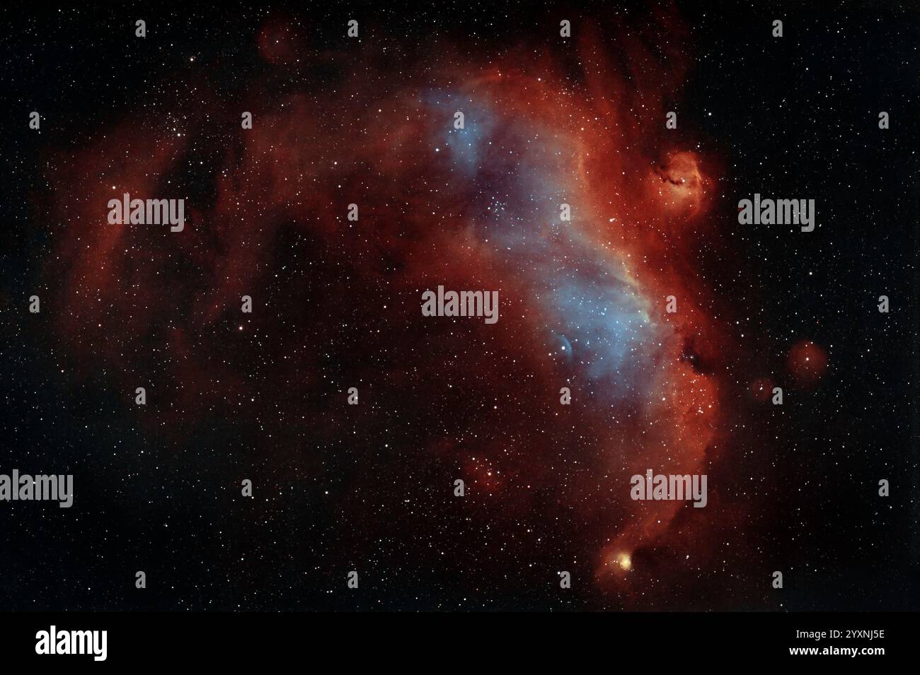 IC 2177, The Seagull nebula in constellation Monoceros Stock Photo - Alamy