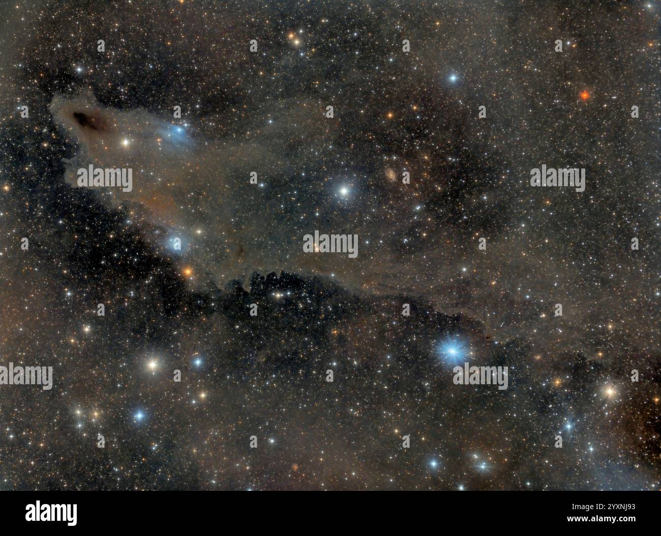 LDN 1235, the Shark Nebula in constellation Cepheus Stock Photo - Alamy