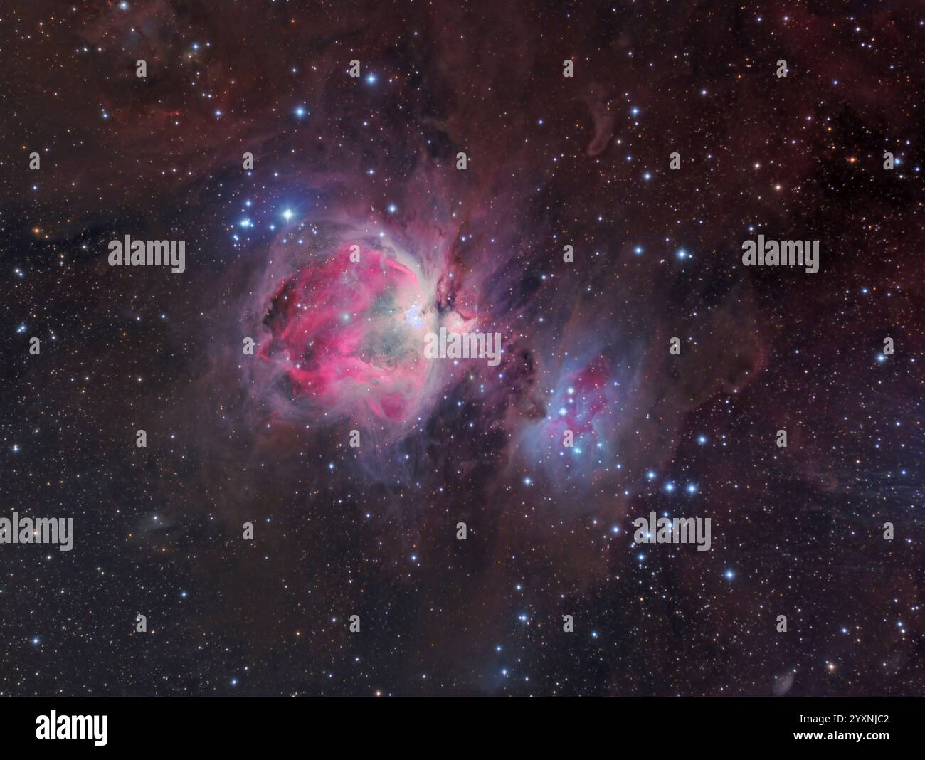 M42, The Orion Nebula Stock Photo - Alamy