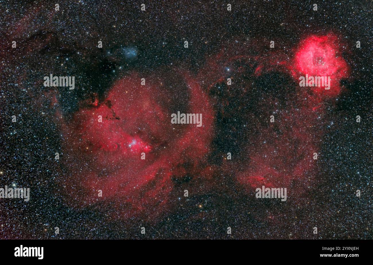 Rosette Nebula and Cone nebula in the constellation Monoceros Stock Photo - Alamy