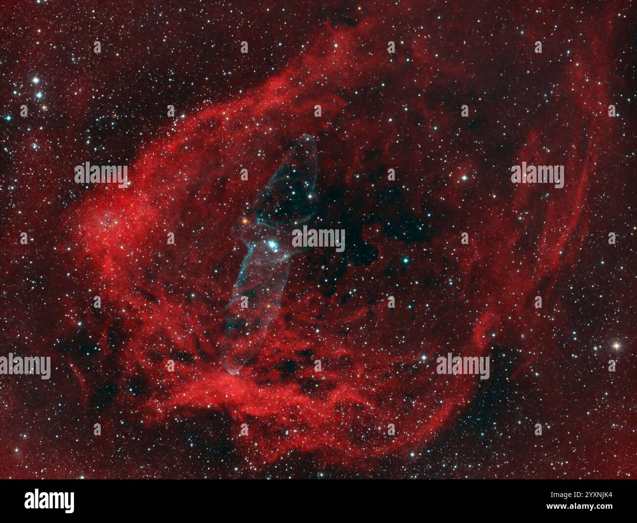 The Flying Bat & Squid Nebula Stock Photo - Alamy