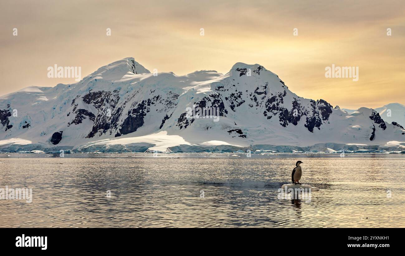Glacier and Iceberg in the Antarctic Landscape Stock Photo - Alamy