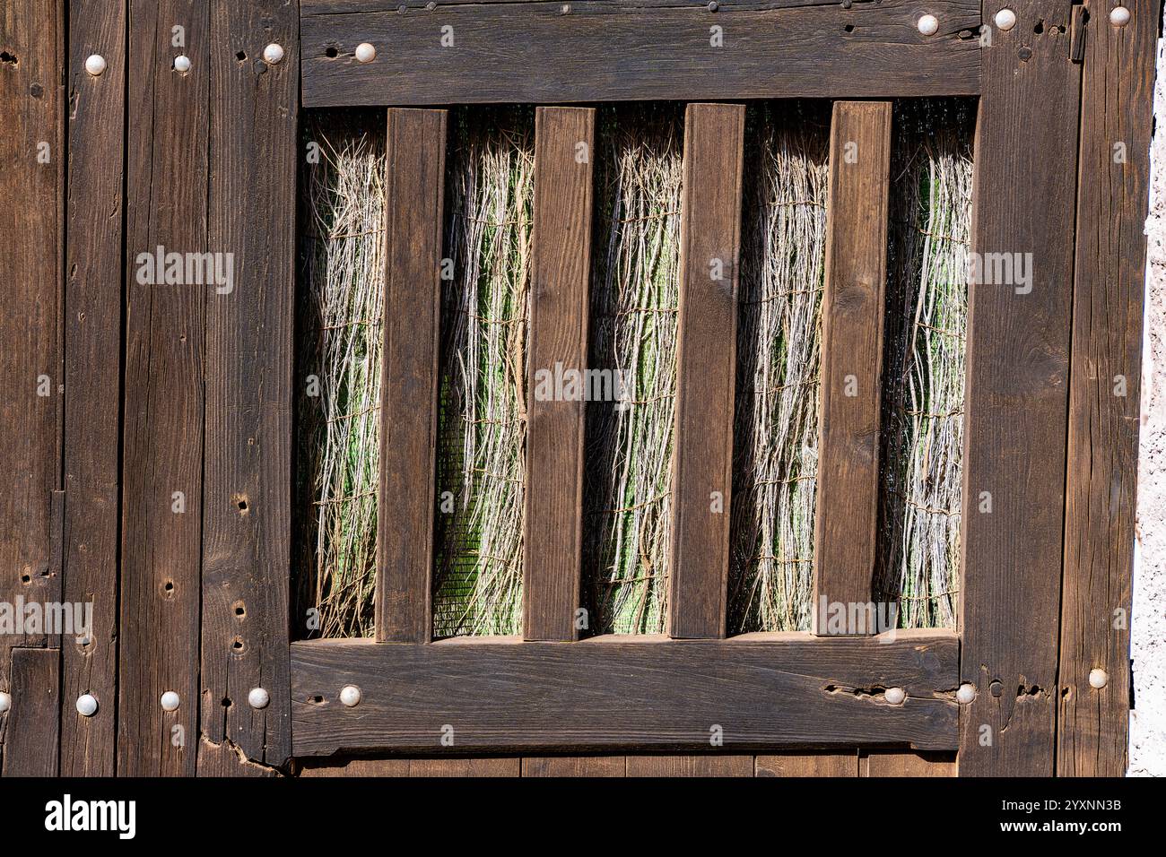 Window tint hi-res stock photography and images - Alamy