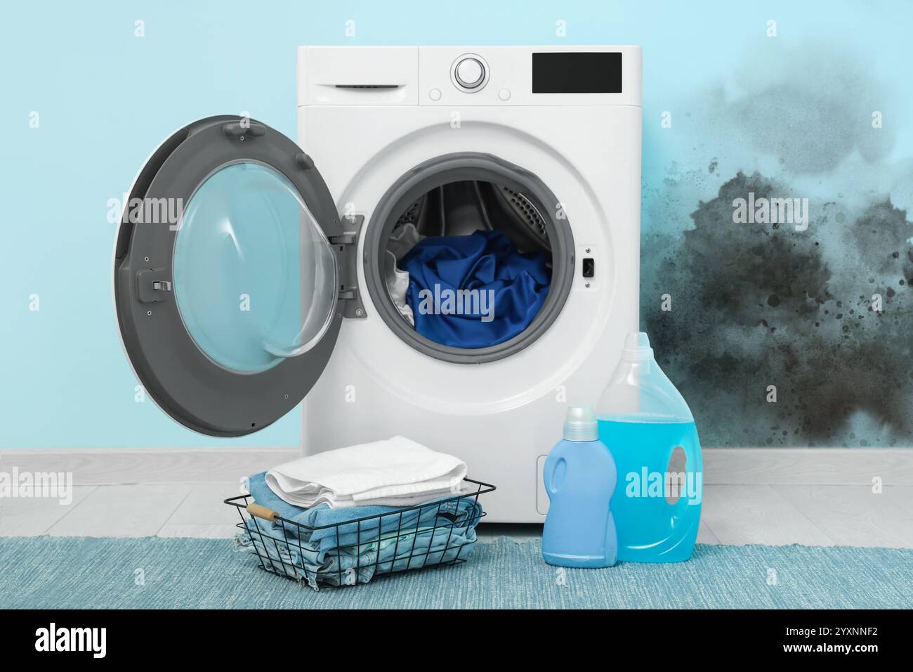 Dangerous mold fungus on wall hi-res stock photography and images - Alamy