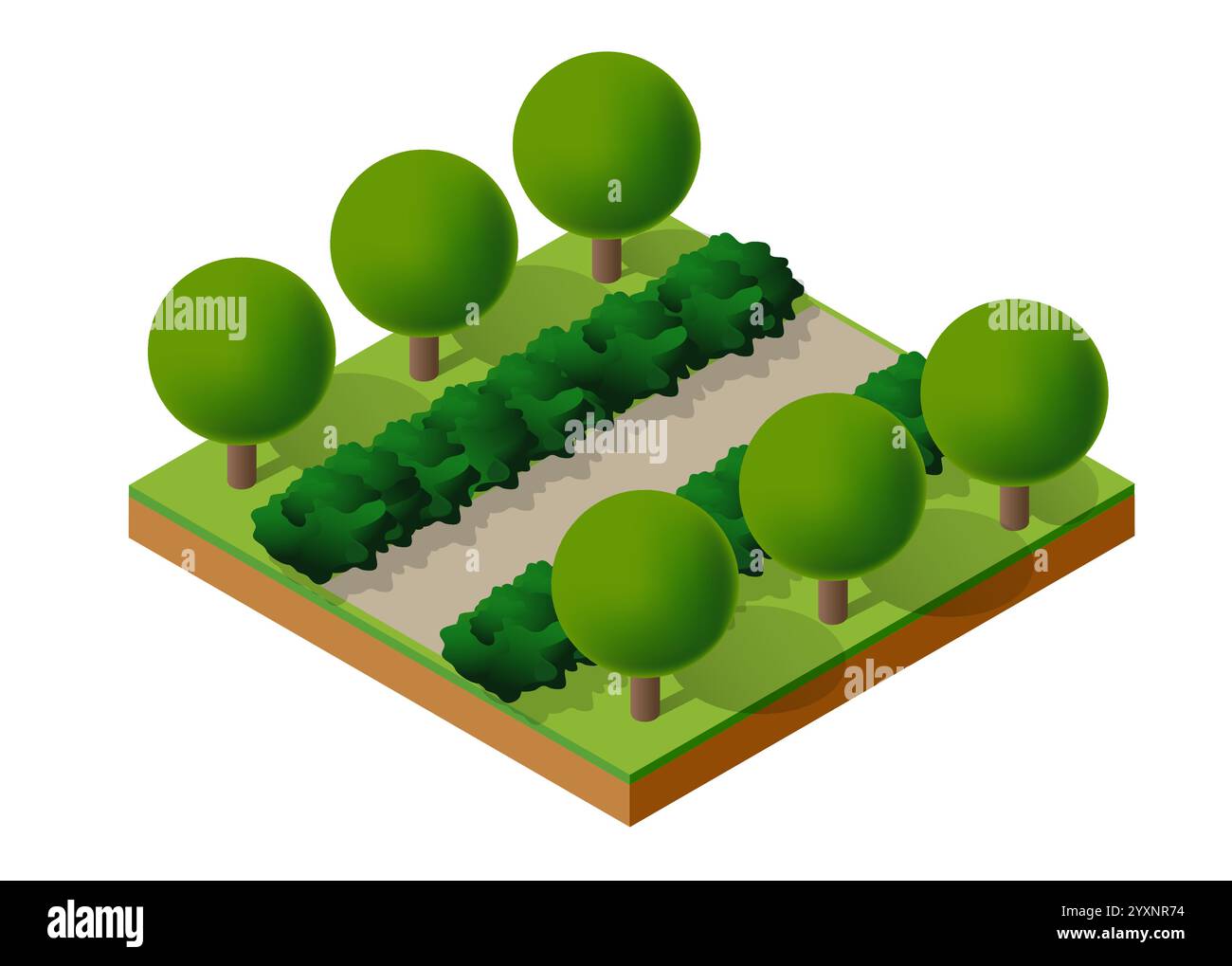 This isometric illustration shows trees casting shadows on a patch of ...