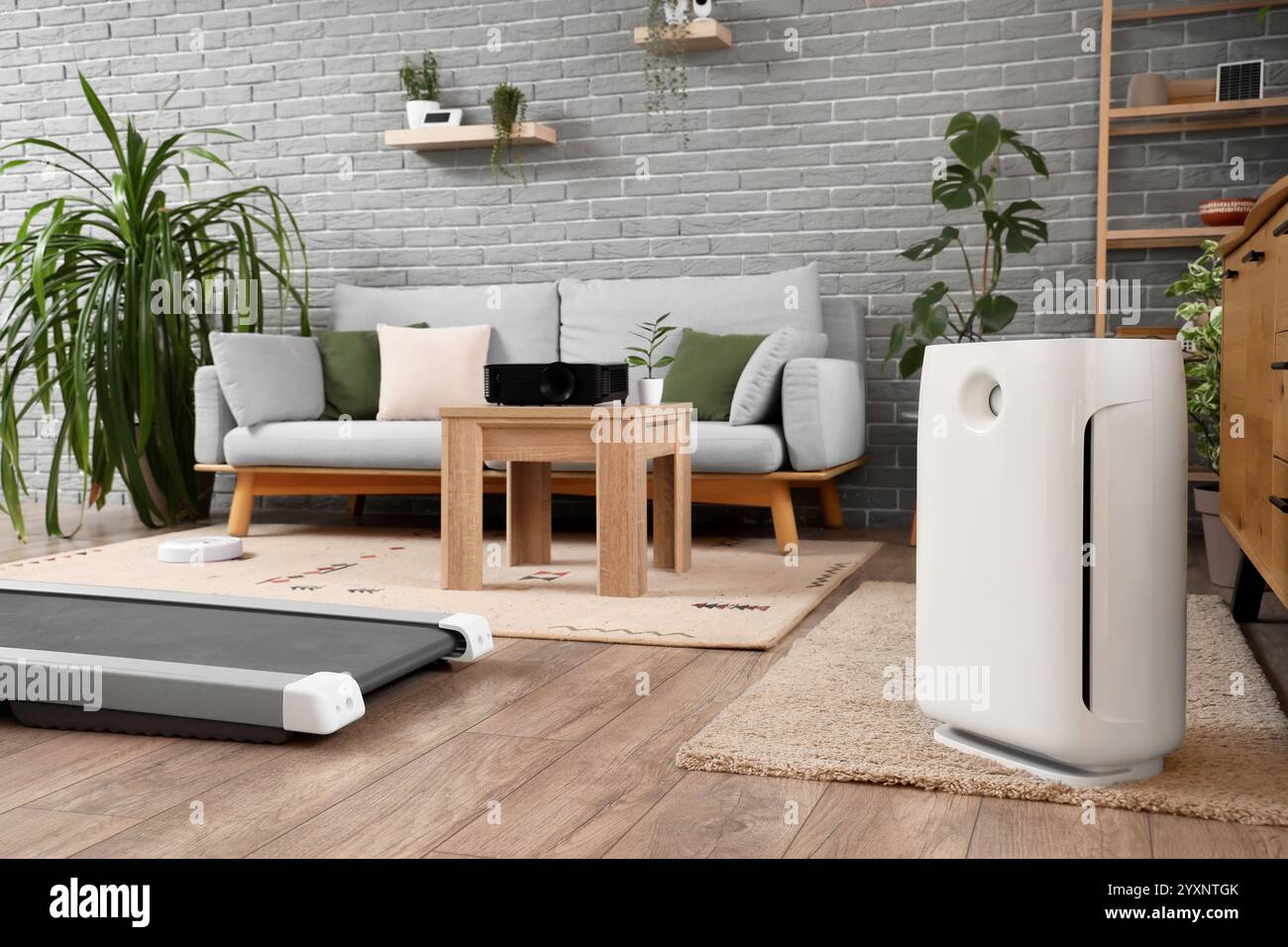 Interior of living room with sofa and appliances Stock Photo - Alamy