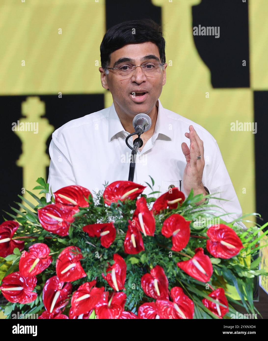 Viswanathan anand hi-res stock photography and images - Alamy