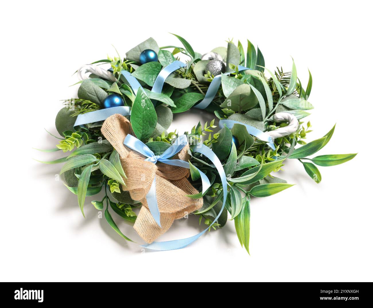 Blue mistletoe Cut Out Stock Images & Pictures - Alamy