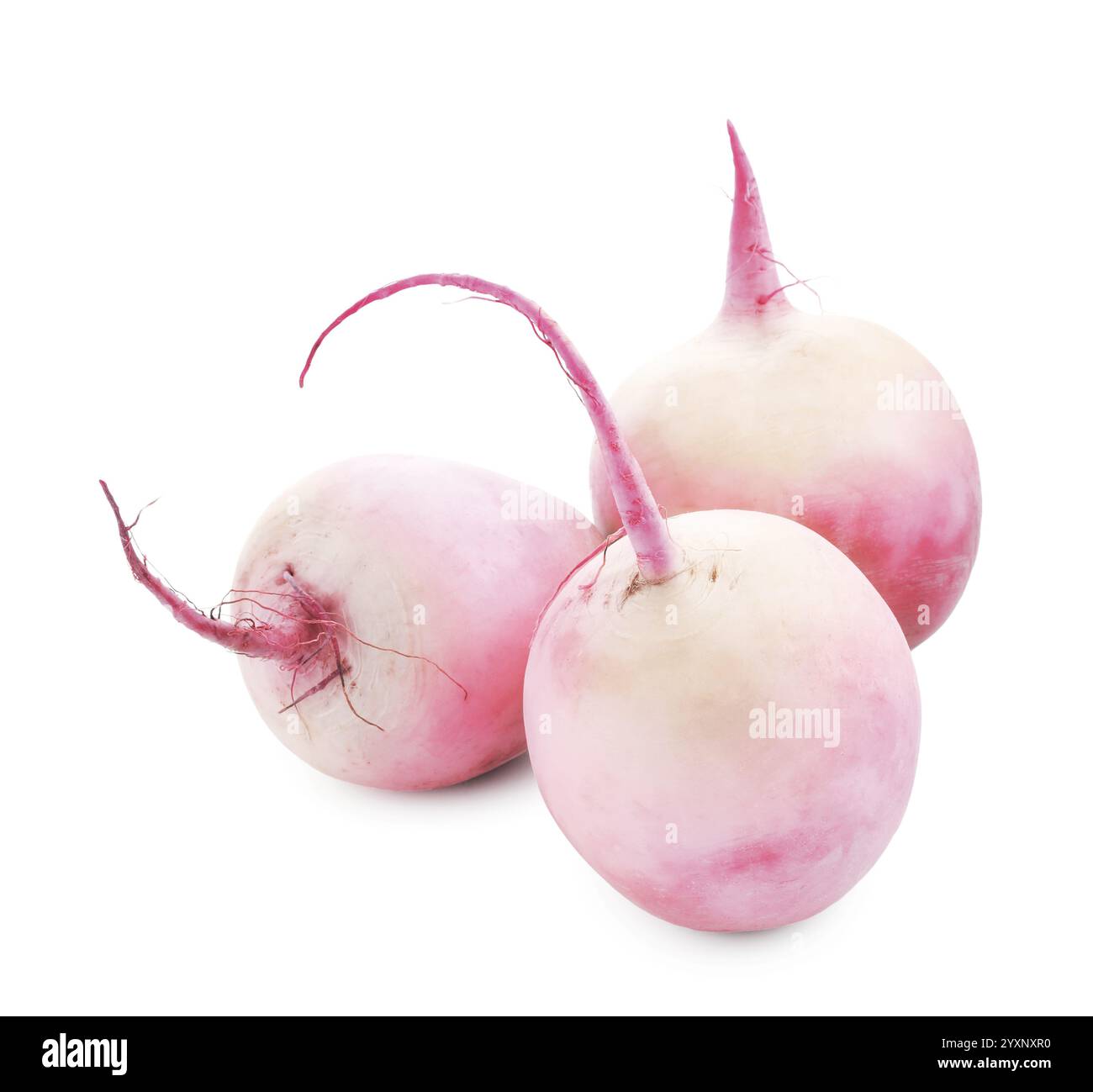 Fresh white turnips on hi-res stock photography and images - Alamy