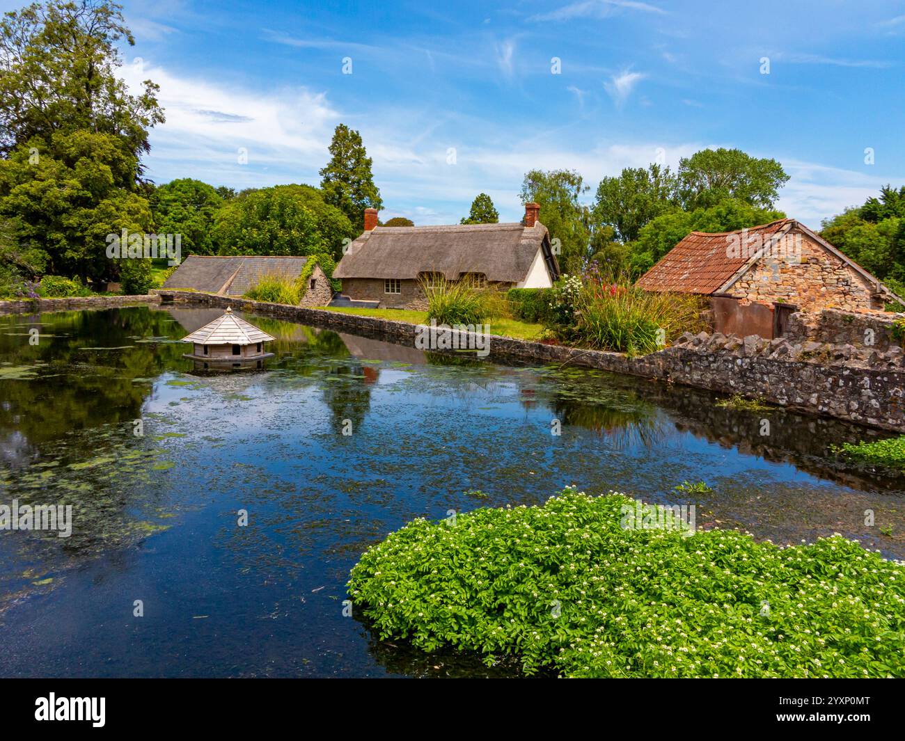 Duck pond and thatched cottage at East Quantoxhead a village in the ...