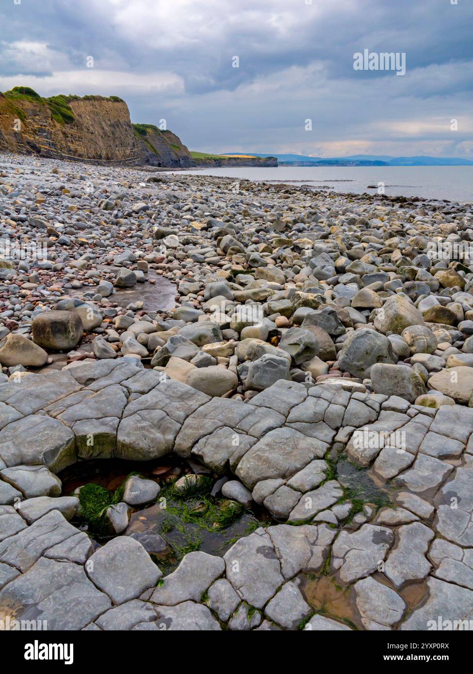 View of the rocky beach at Kilve in north Somerset England UK a Site of ...