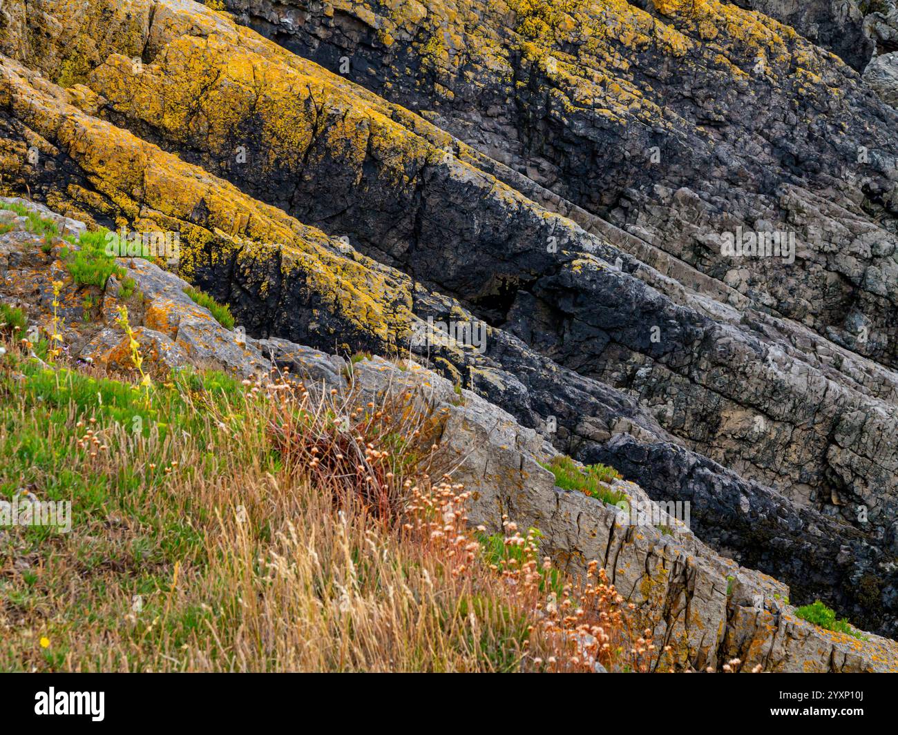 Black rock carboniferous limestone at Sand Point on the Bristol Channel ...