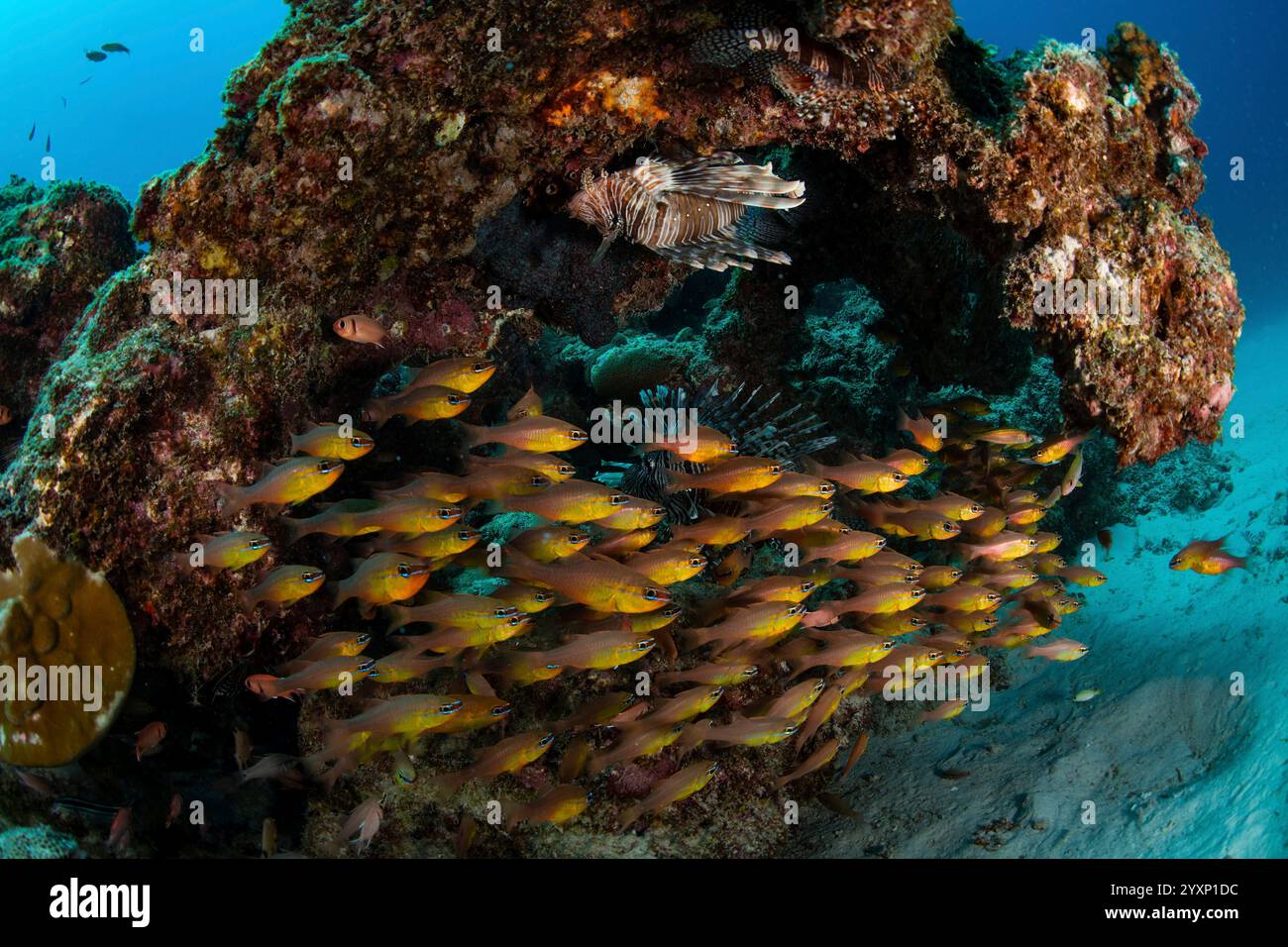 Large horizontal ledge hi-res stock photography and images - Alamy