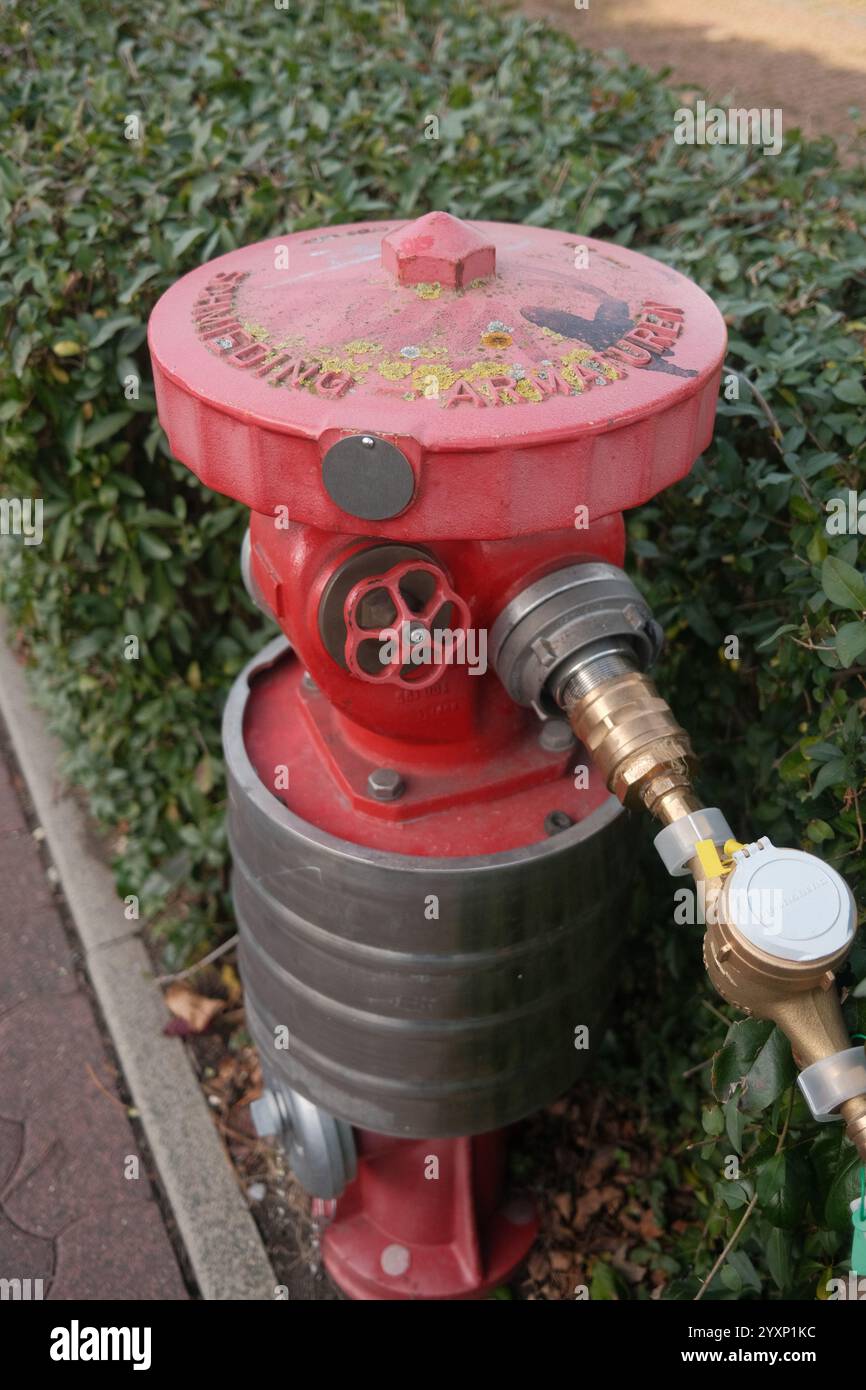 A red fire hydrant with a white cap. The hydrant is surrounded by ...
